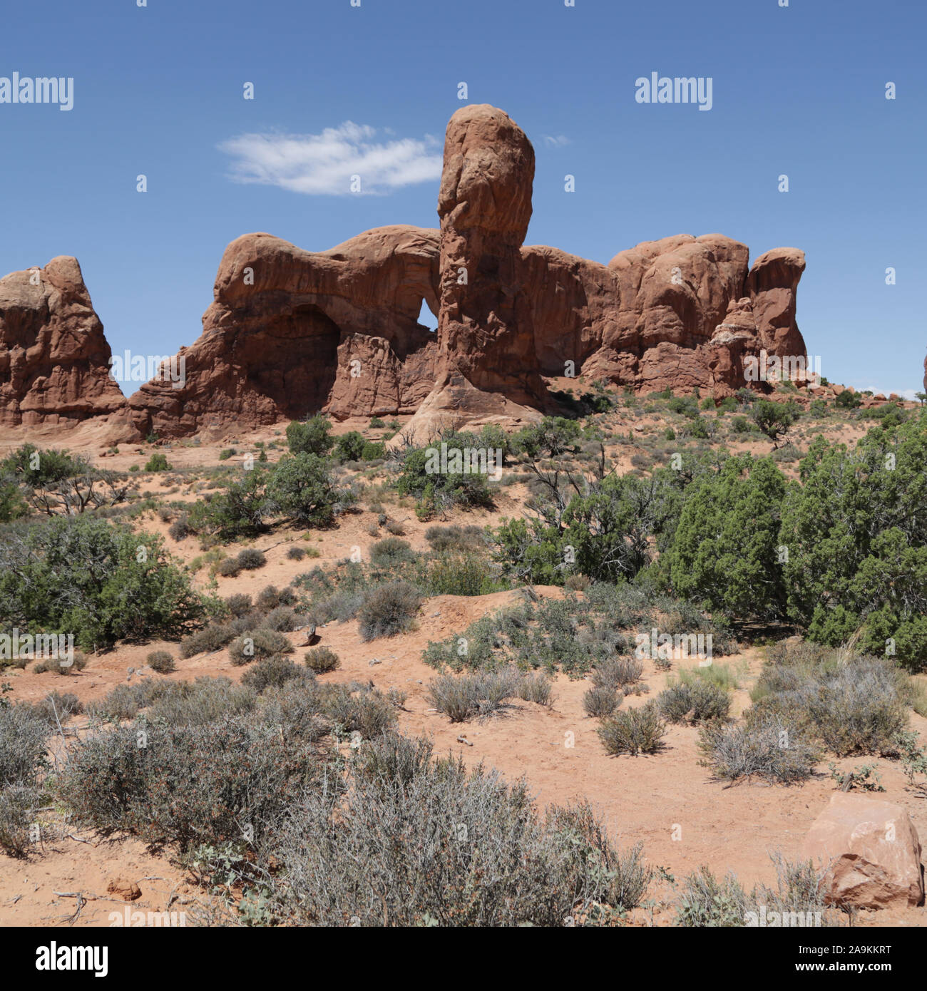 in USA inside the arches national park the beauty of amazing nature ...