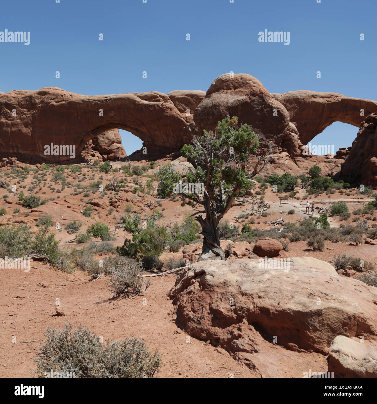 in USA inside the arches national park the beauty of amazing nature ...
