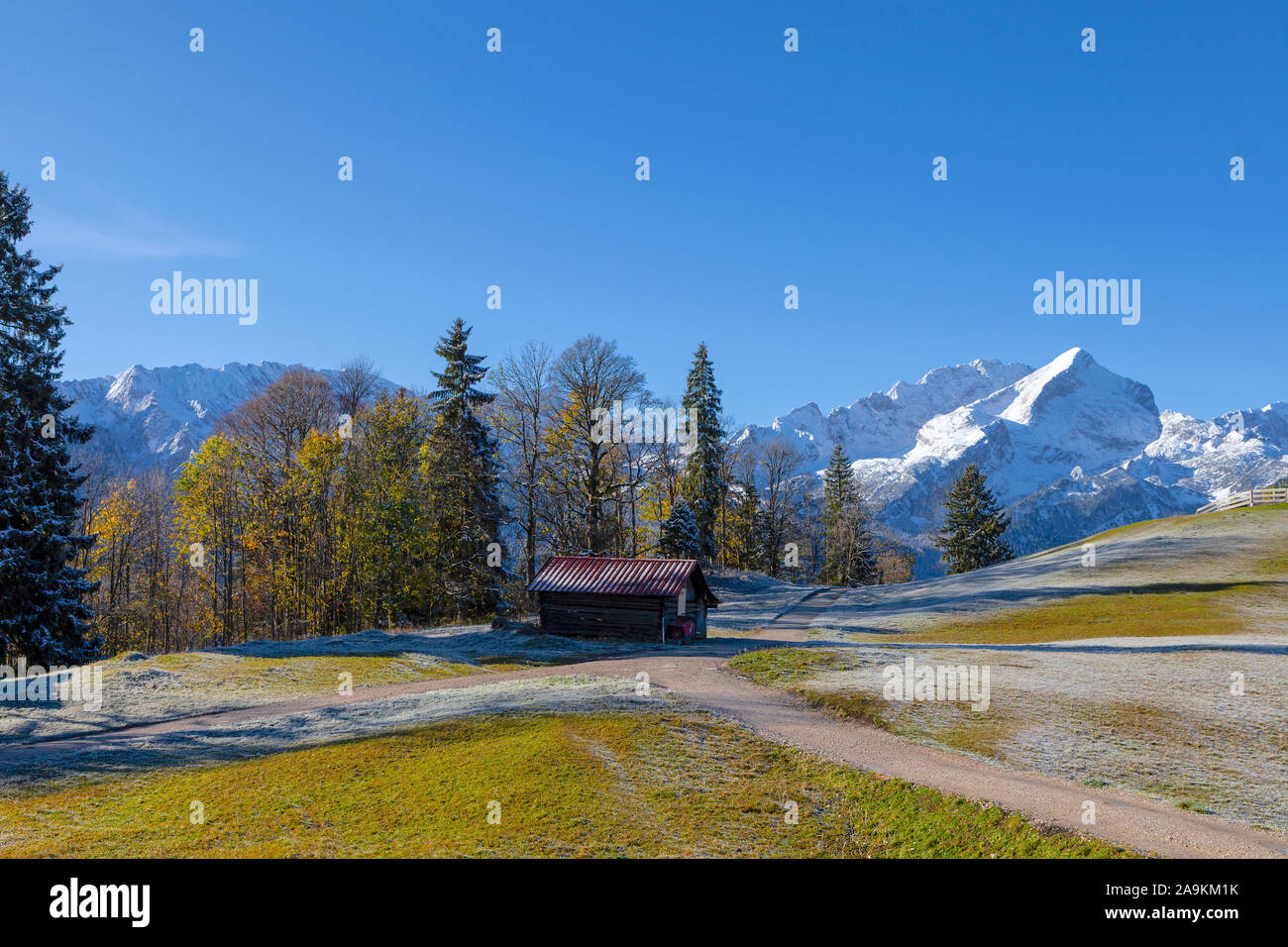 Alpine landscape with coloured trees and white snowy mountains in the ...