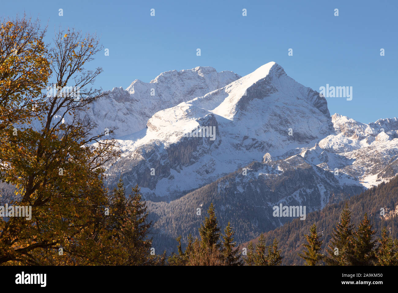 Alpine landscape with coloured trees and white snowy mountains in the ...