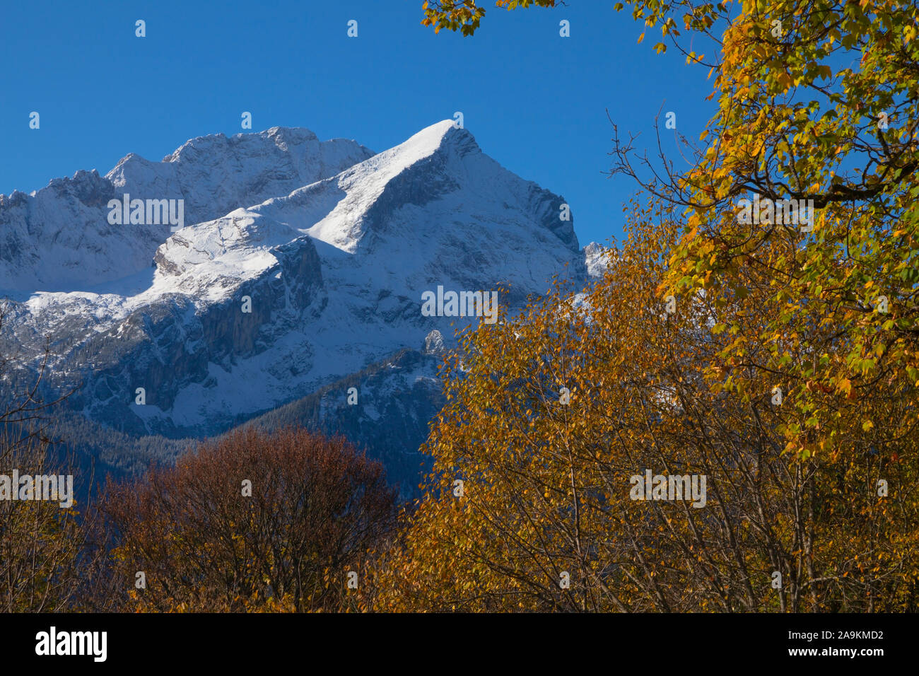 Alpine landscape with coloured trees and white snowy mountains in the ...
