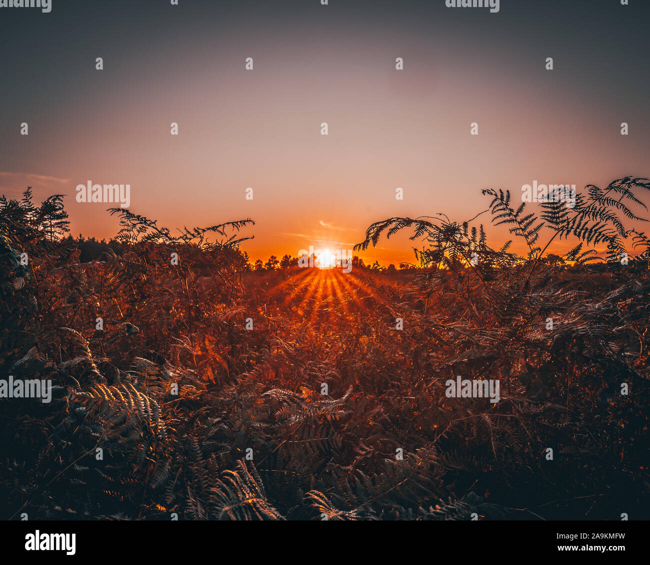 Endofsummer hi-res stock photography and images - Alamy