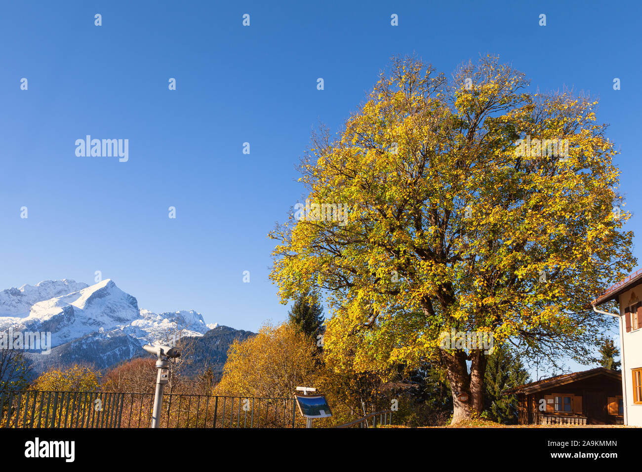 Alpine landscape with coloured trees and white snowy mountains in the ...