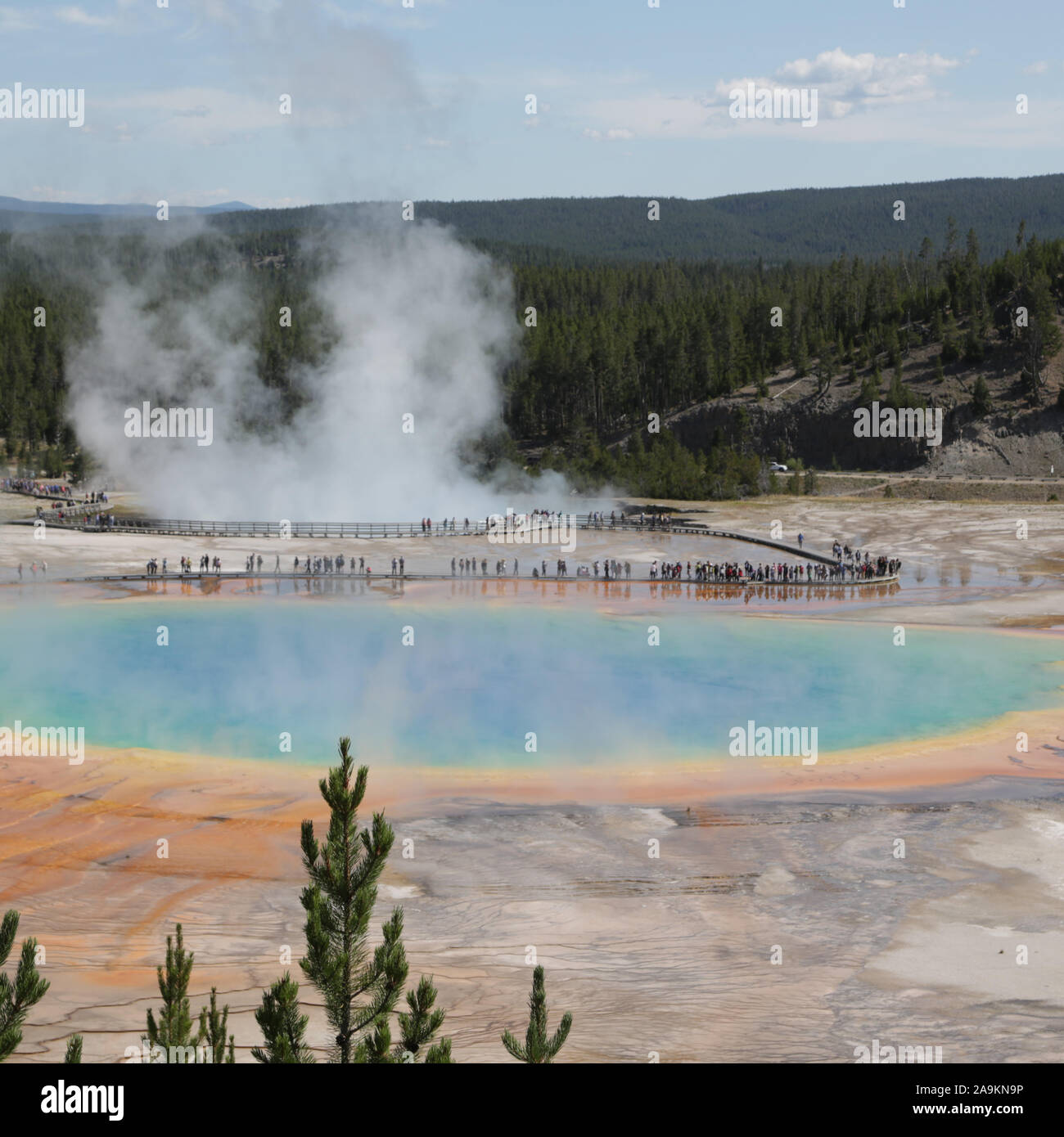 in USA inside the yellowstone national park the brauty of amazing ...