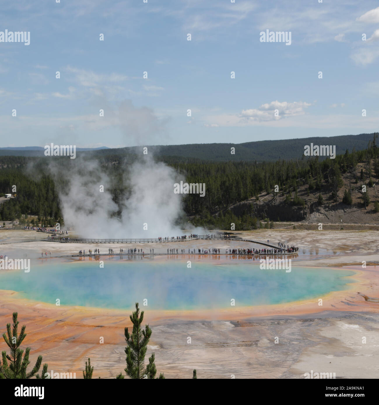 in USA inside the yellowstone national park the brauty of amazing ...