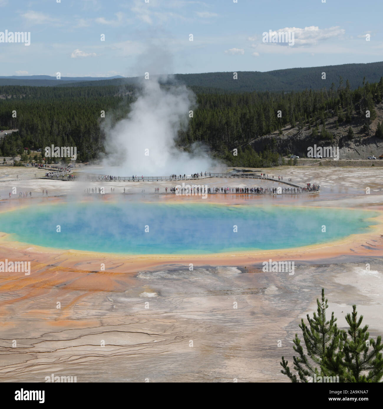 in USA inside the yellowstone national park the brauty of amazing ...