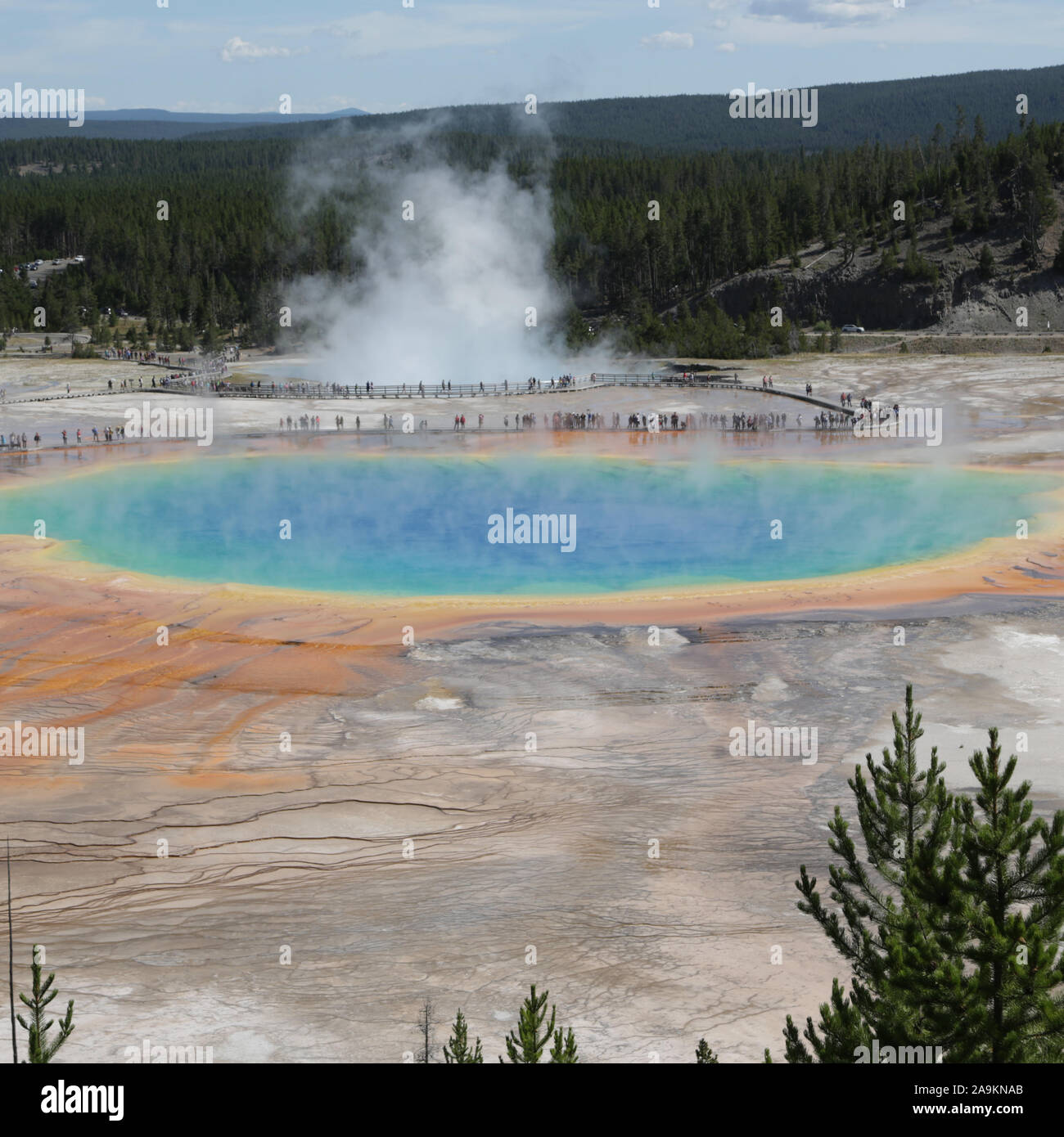 in USA inside the yellowstone national park the brauty of amazing ...