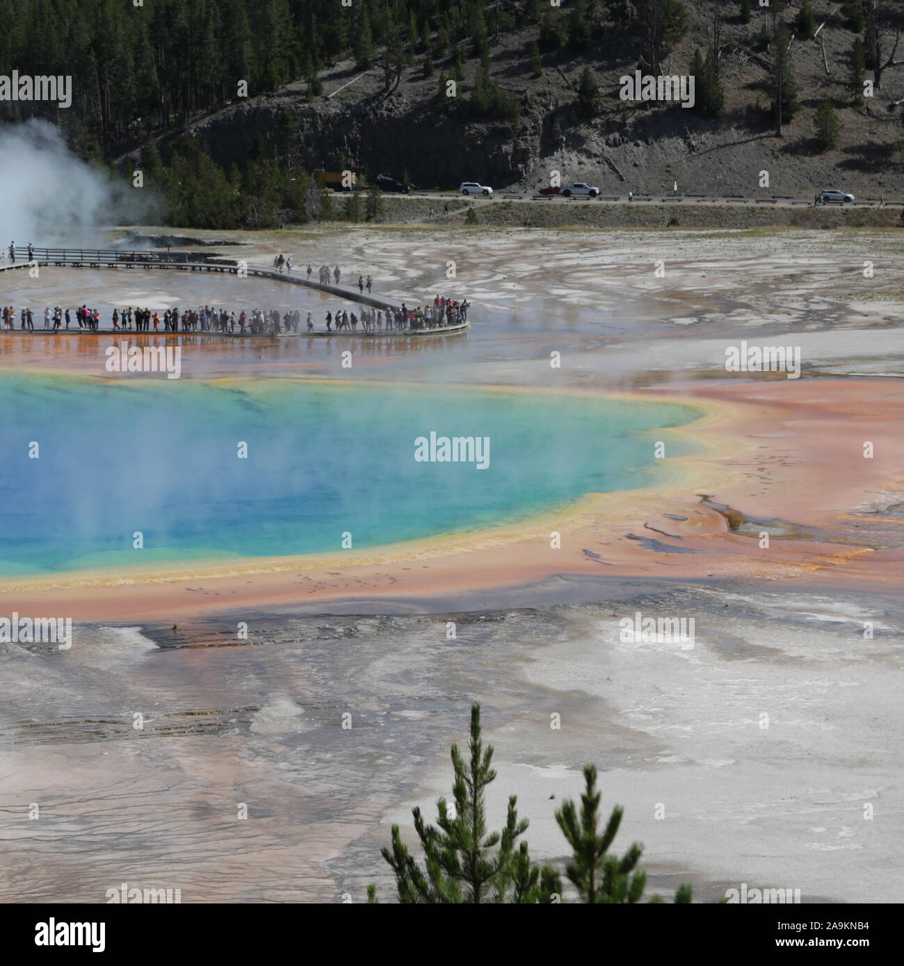 in USA inside the yellowstone national park the brauty of amazing ...