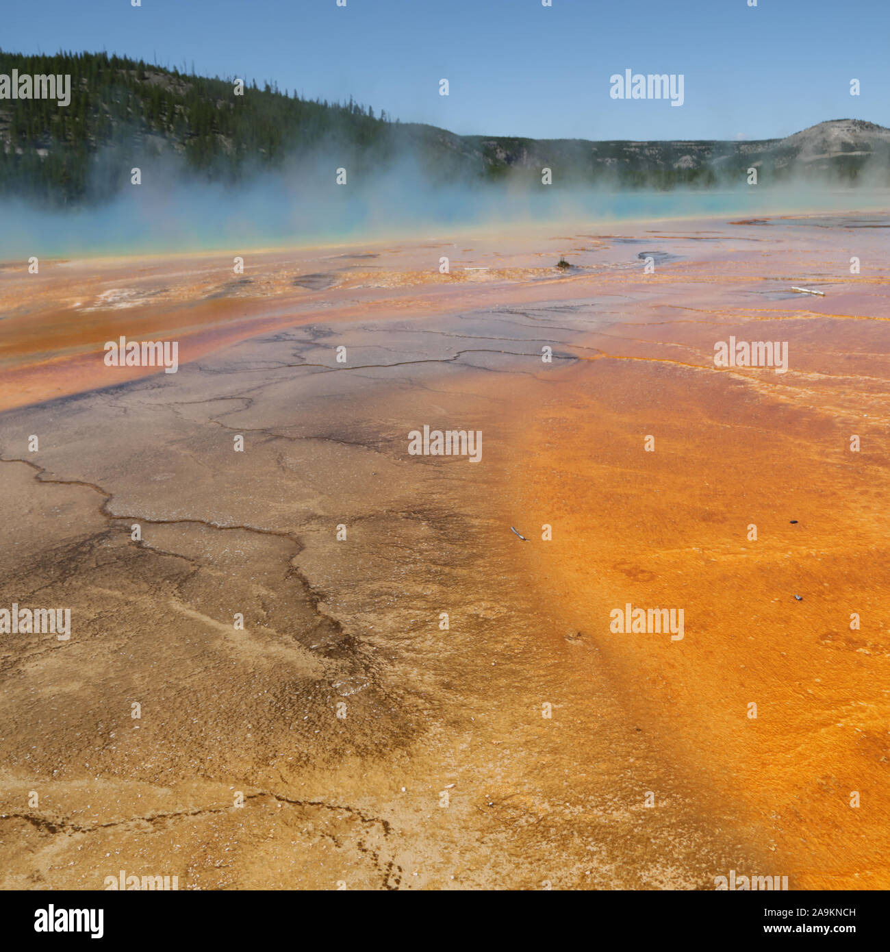 in USA inside the yellowstone national park the brauty of amazing ...