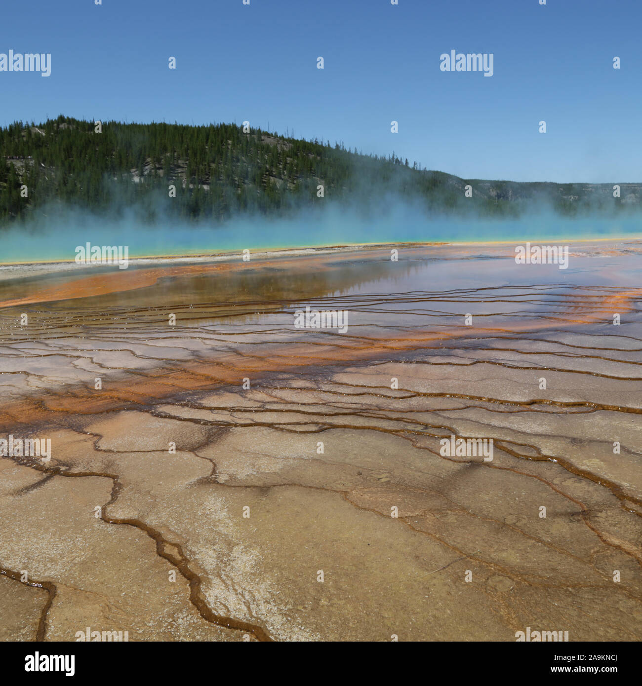 in USA inside the yellowstone national park the brauty of amazing ...