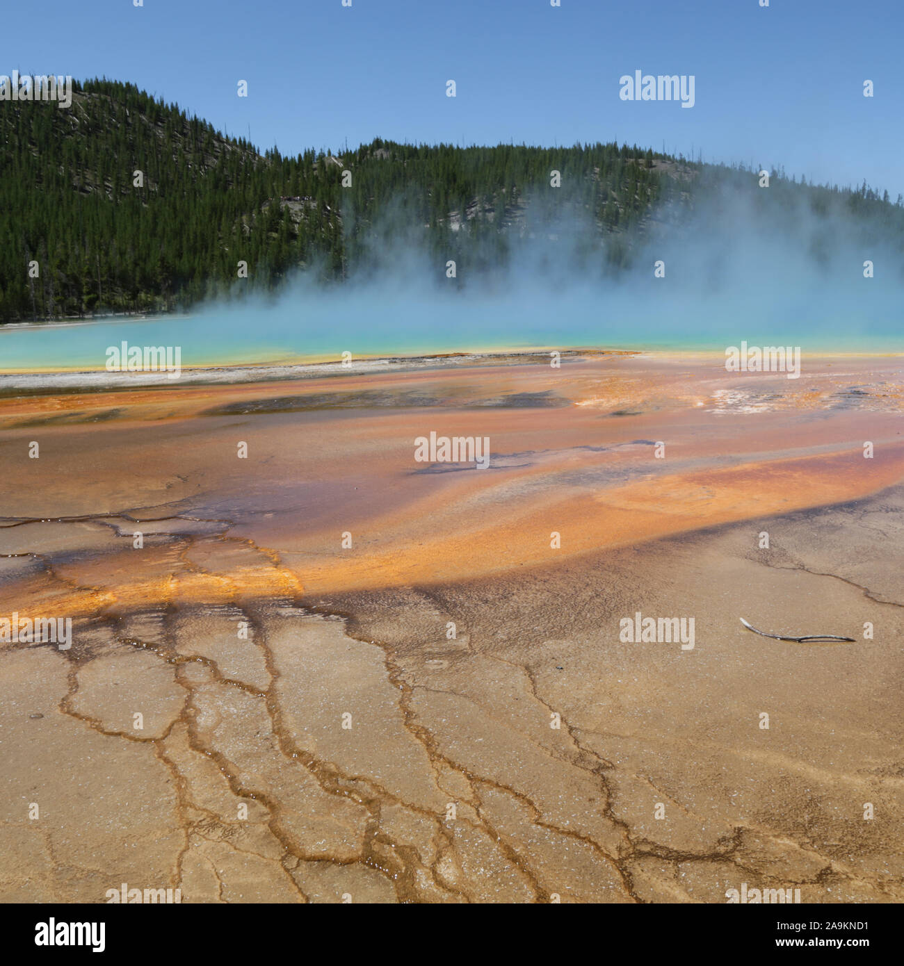 in USA inside the yellowstone national park the brauty of amazing ...