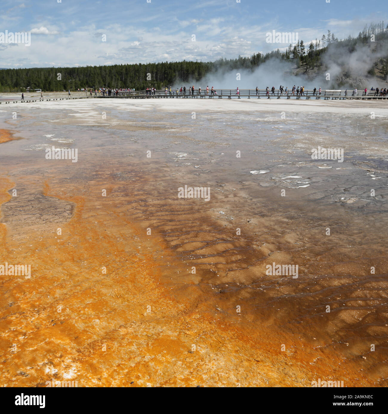 in USA inside the yellowstone national park the brauty of amazing ...