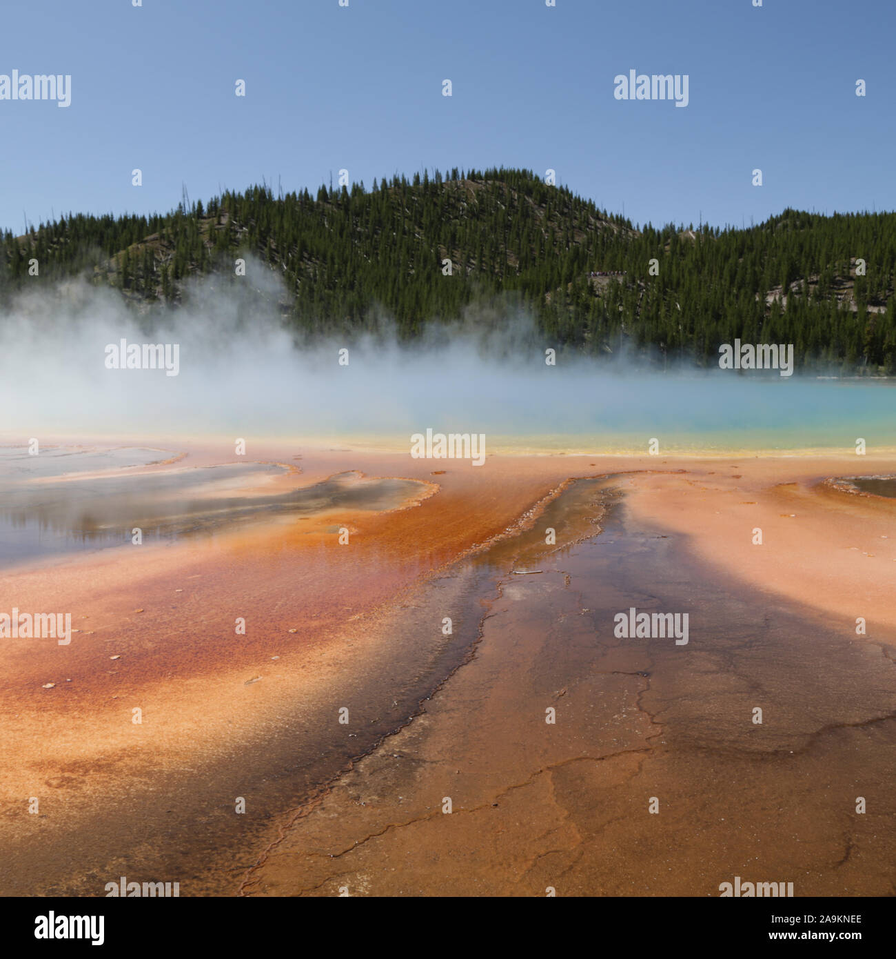 in USA inside the yellowstone national park the brauty of amazing ...