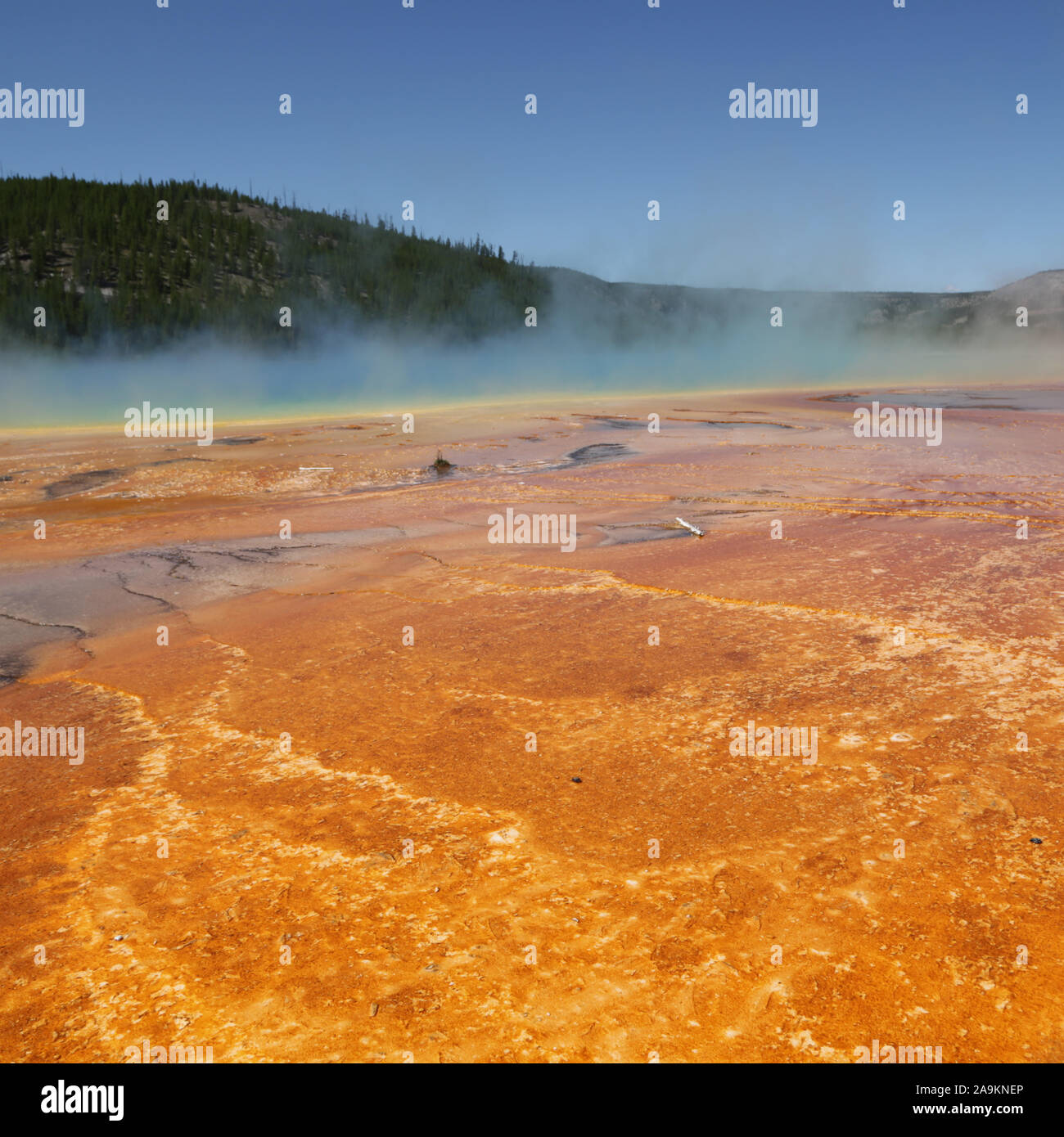 in USA inside the yellowstone national park the brauty of amazing ...