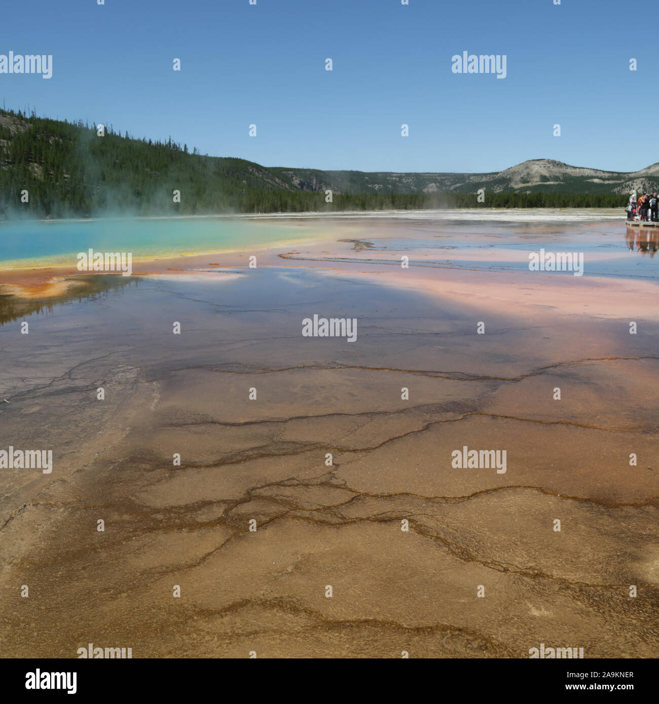 in USA inside the yellowstone national park the brauty of amazing ...