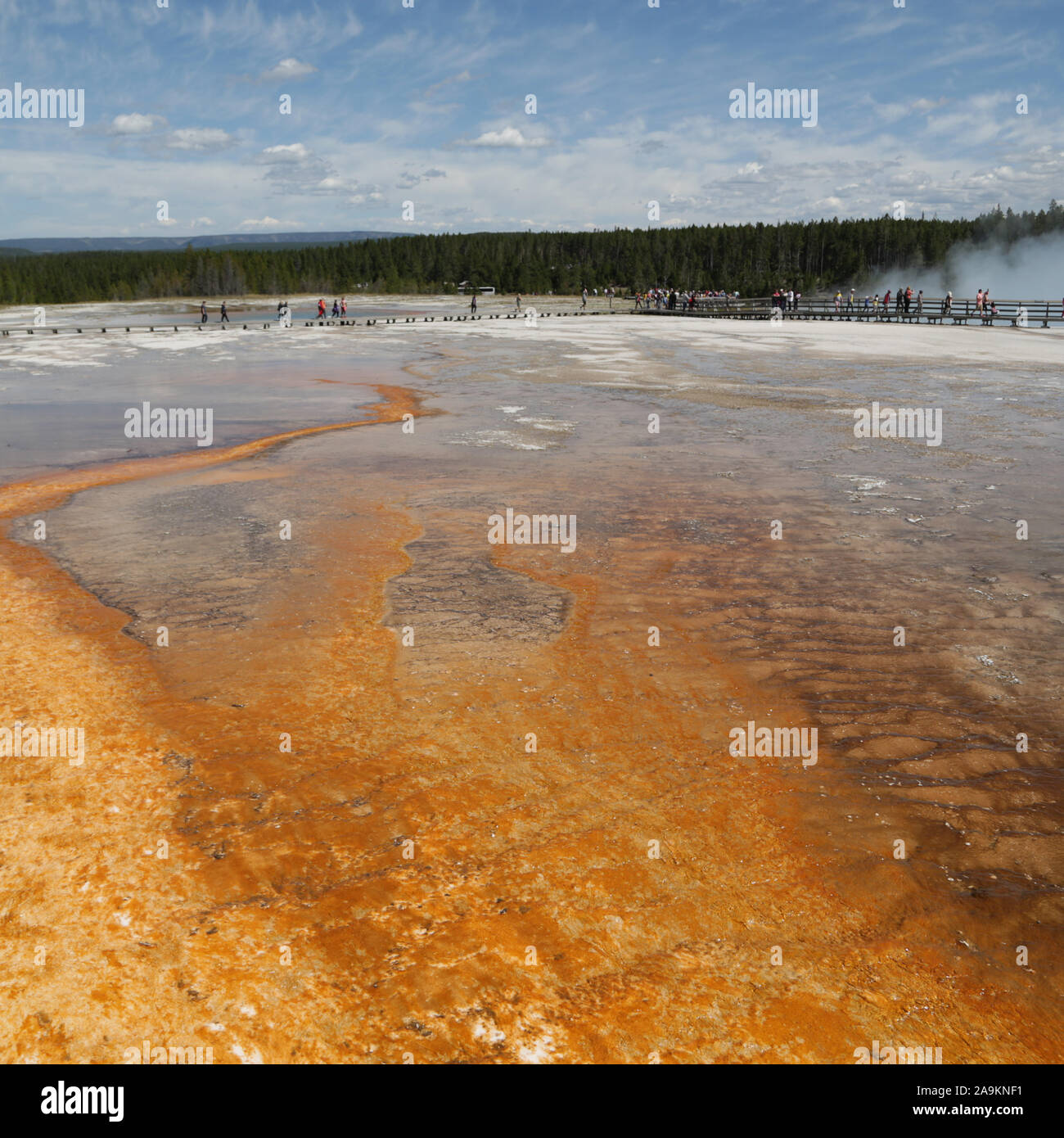 in USA inside the yellowstone national park the brauty of amazing ...