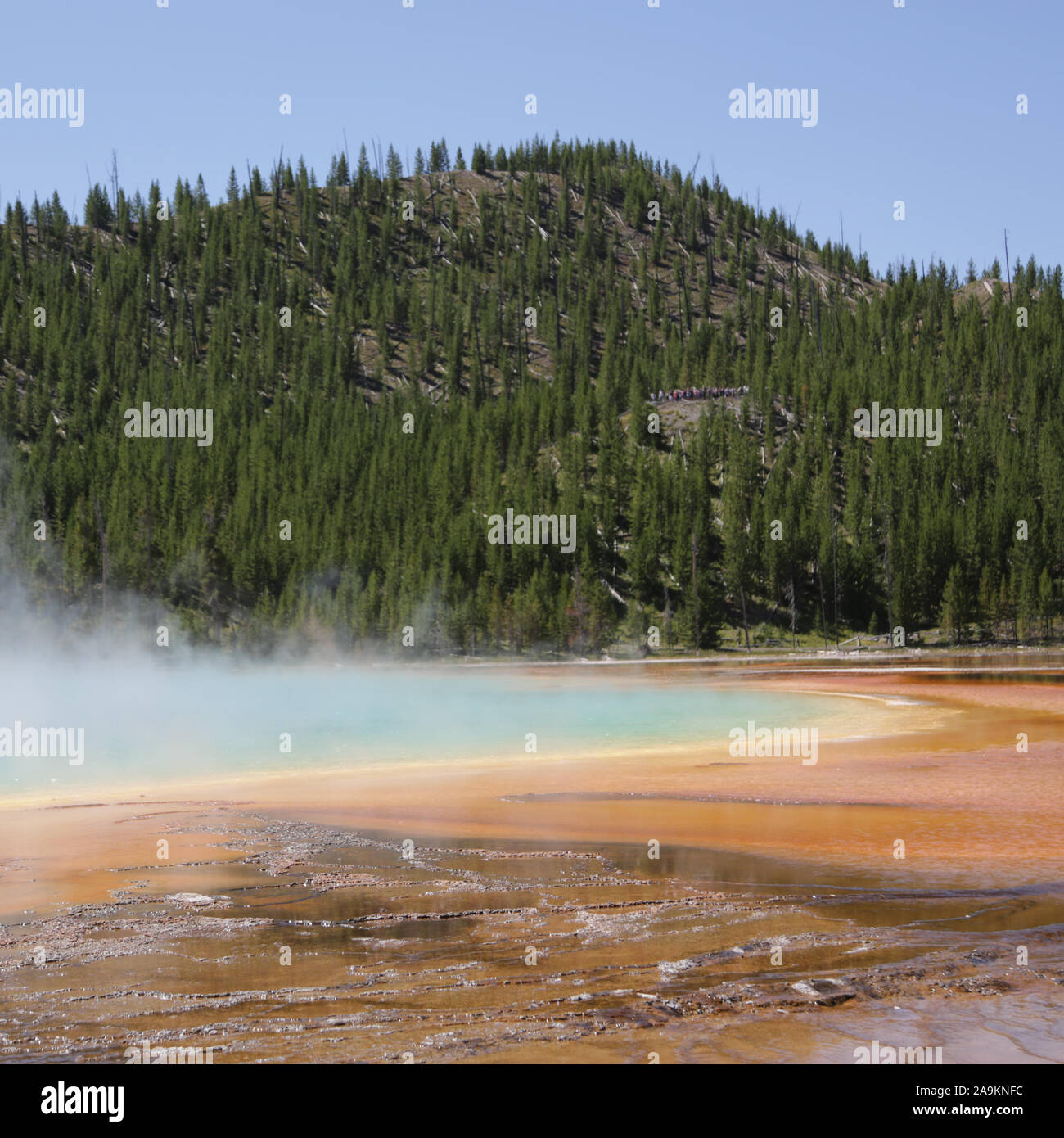 in USA inside the yellowstone national park the brauty of amazing ...