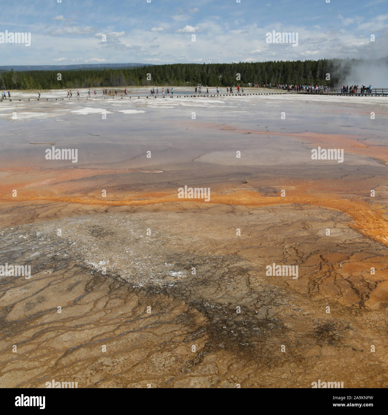 in USA inside the yellowstone national park the brauty of amazing ...