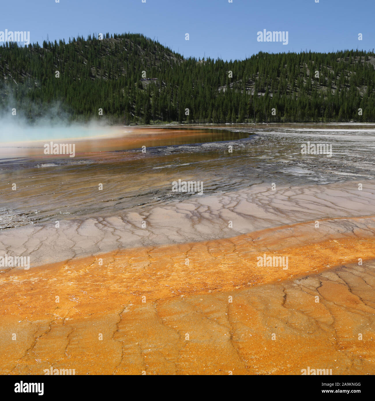 in USA inside the yellowstone national park the brauty of amazing ...