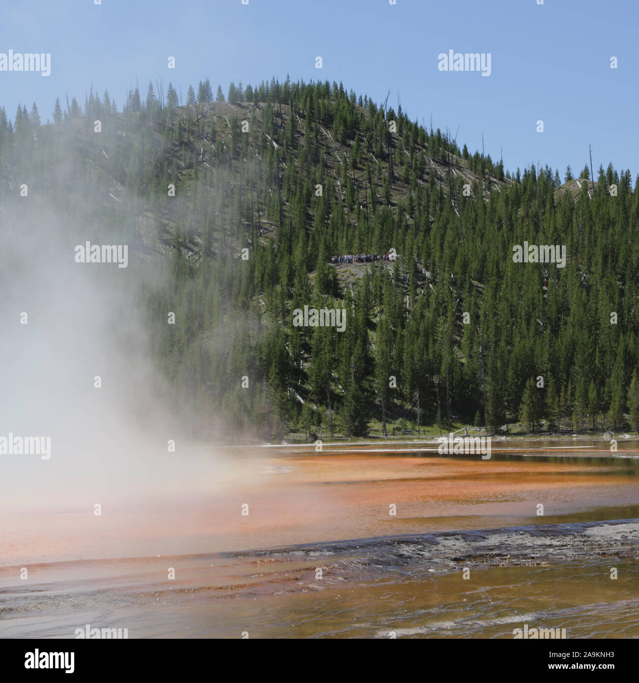 in USA inside the yellowstone national park the brauty of amazing ...