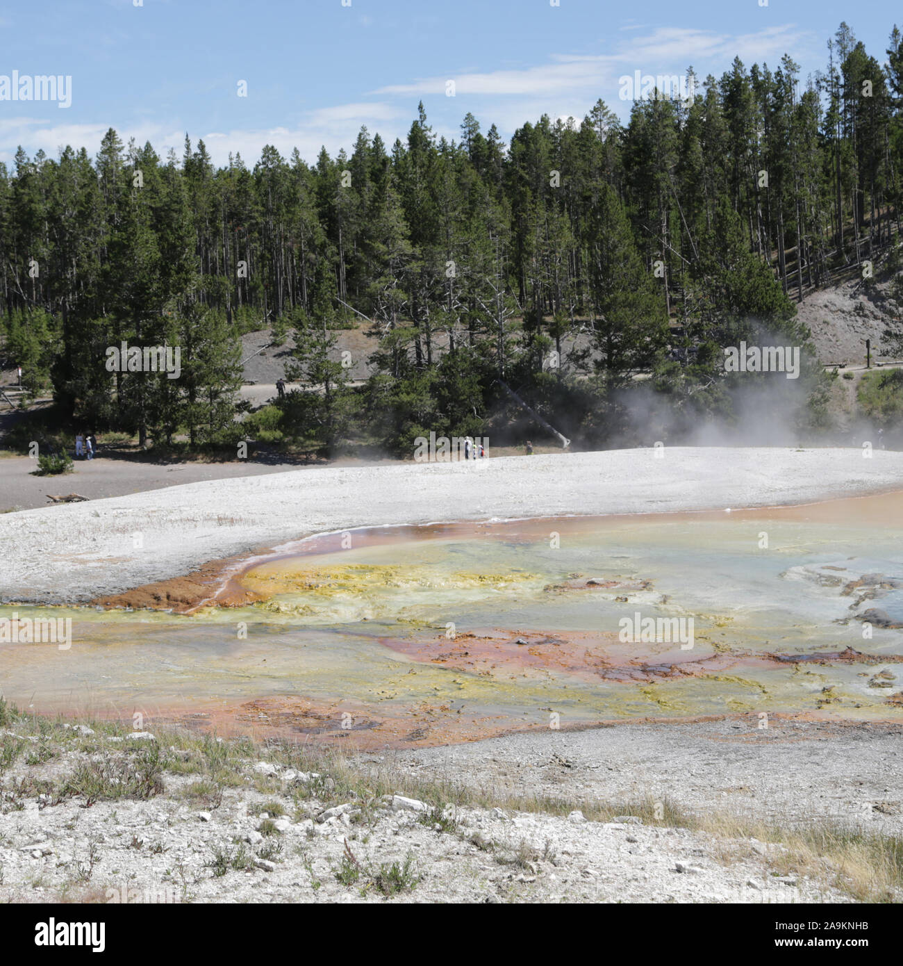 in USA inside the yellowstone national park the brauty of amazing nature tourist destination ...
