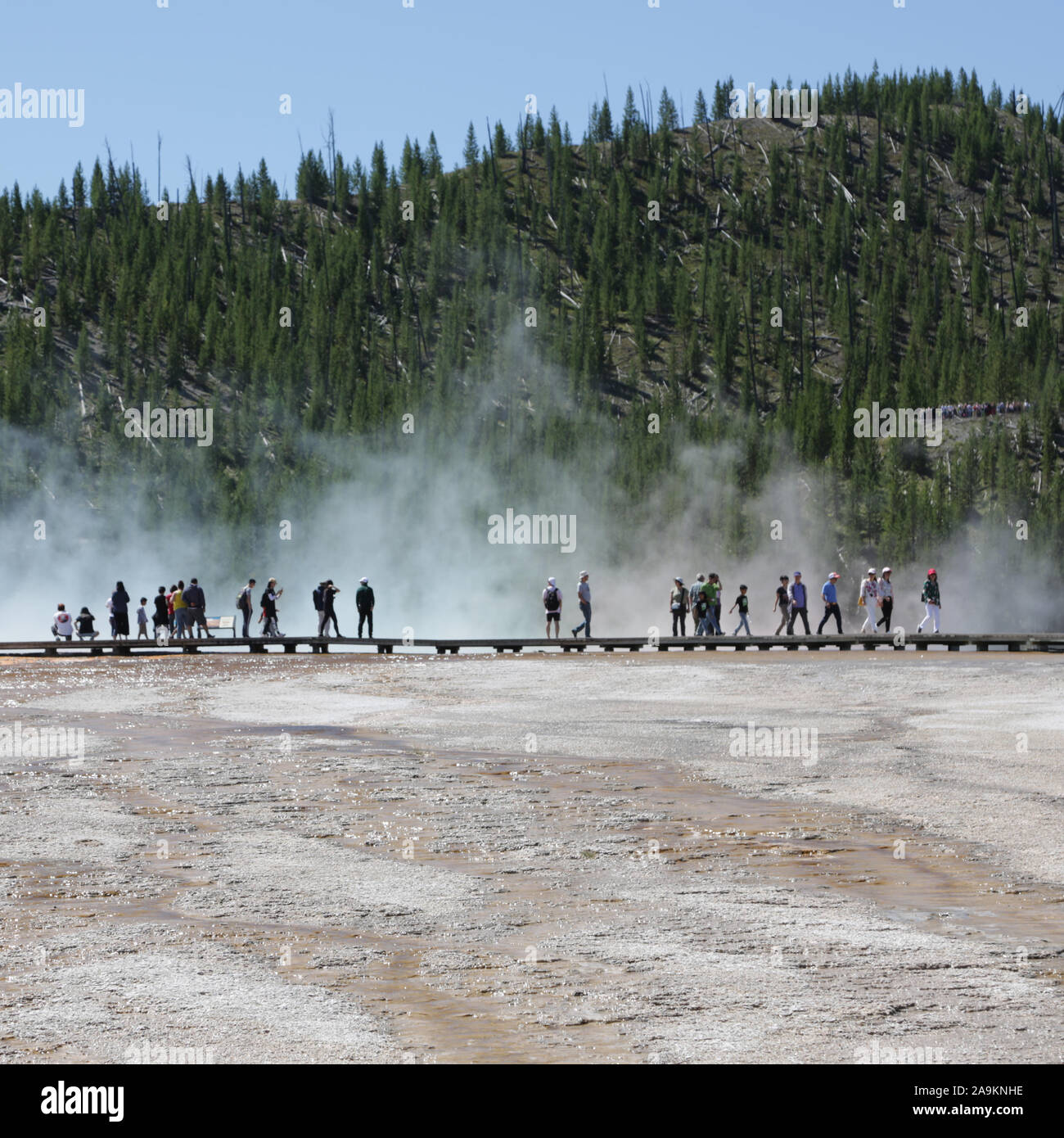 in USA inside the yellowstone national park the brauty of amazing ...