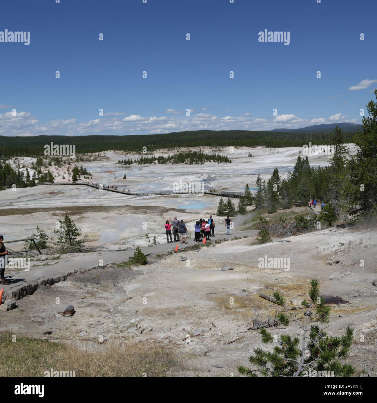 in USA inside the yellowstone national park the brauty of amazing ...