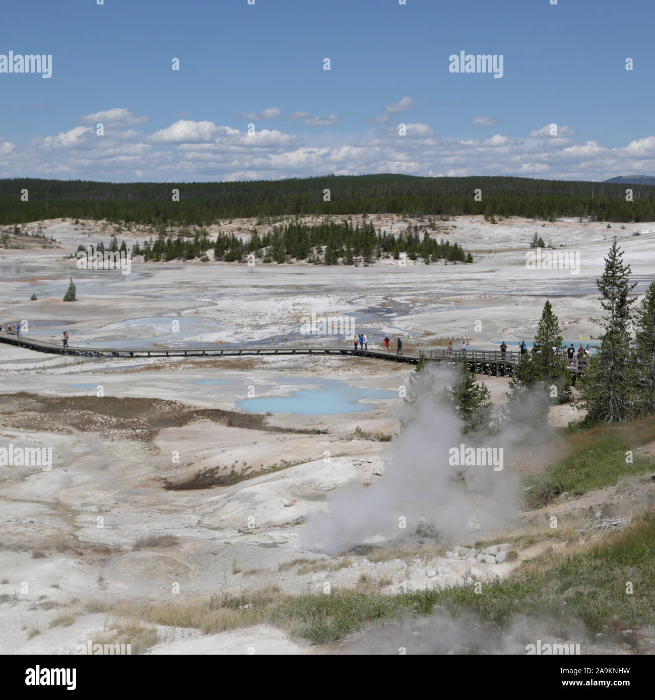in USA inside the yellowstone national park the brauty of amazing ...