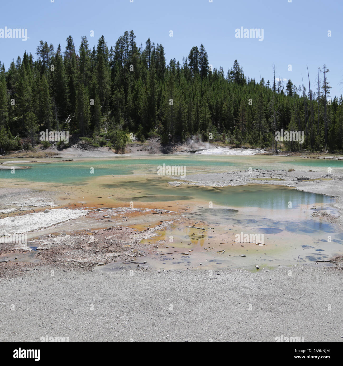 in USA inside the yellowstone national park the brauty of amazing ...