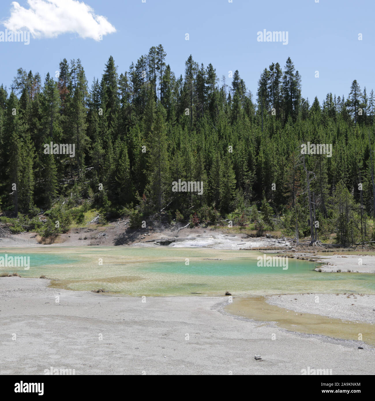 in USA inside the yellowstone national park the brauty of amazing ...