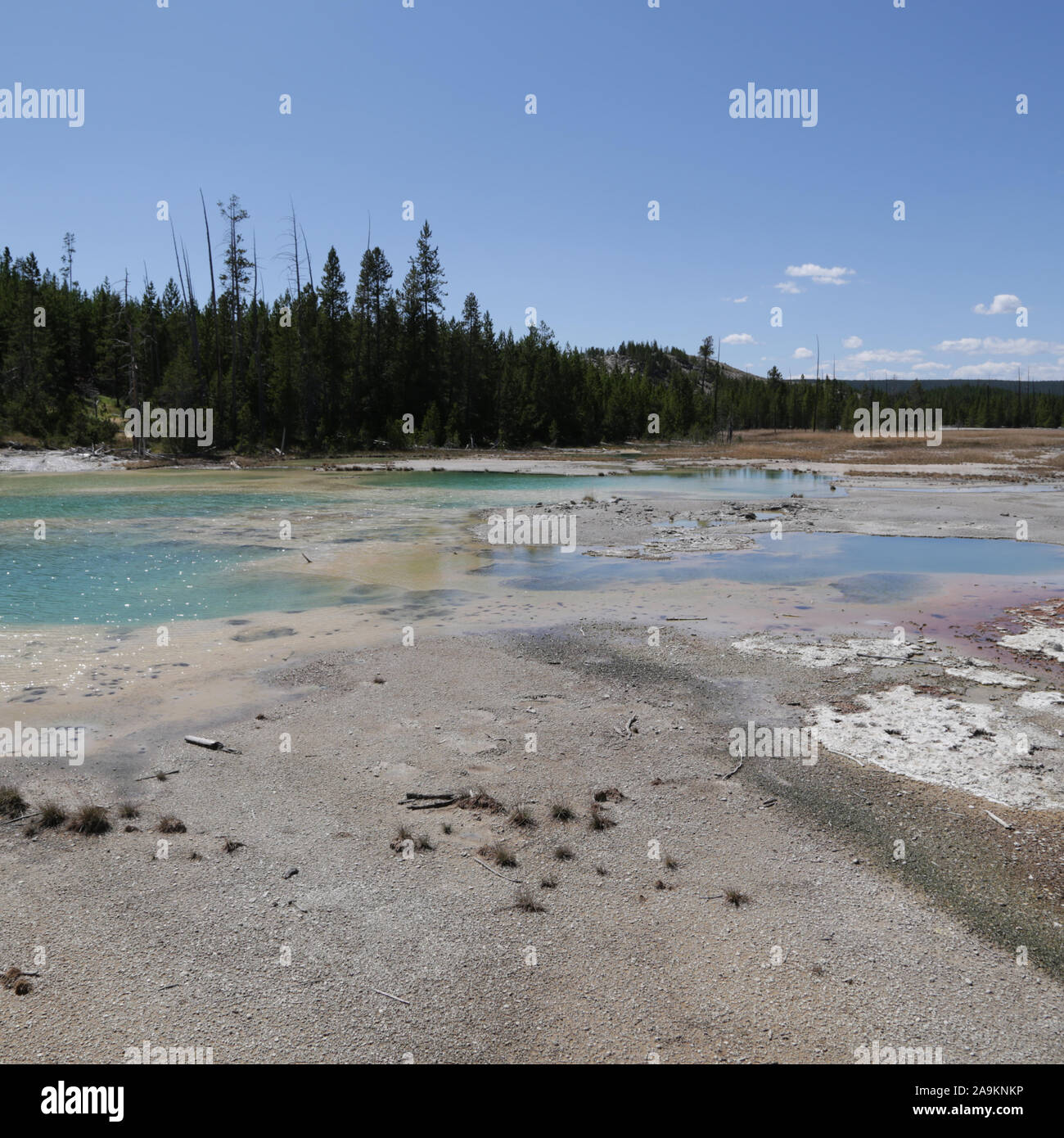 in USA inside the yellowstone national park the brauty of amazing ...