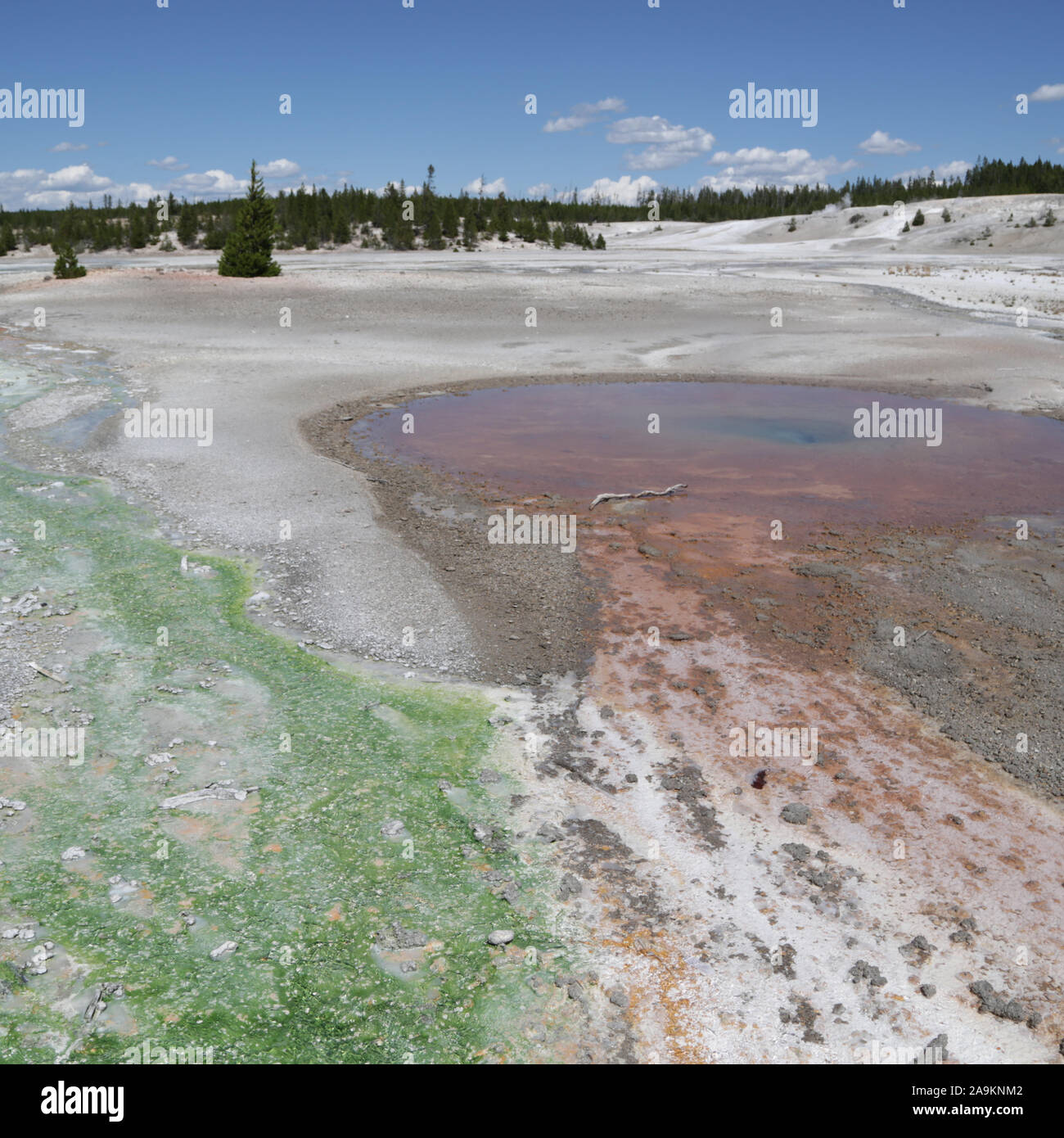 in USA inside the yellowstone national park the brauty of amazing ...