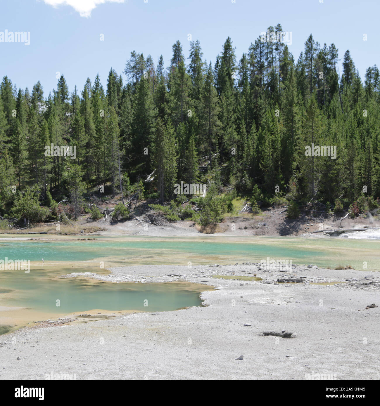 in USA inside the yellowstone national park the brauty of amazing ...