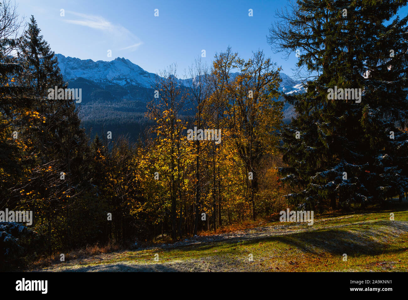Alpine landscape with coloured trees and white snowy mountains in the ...