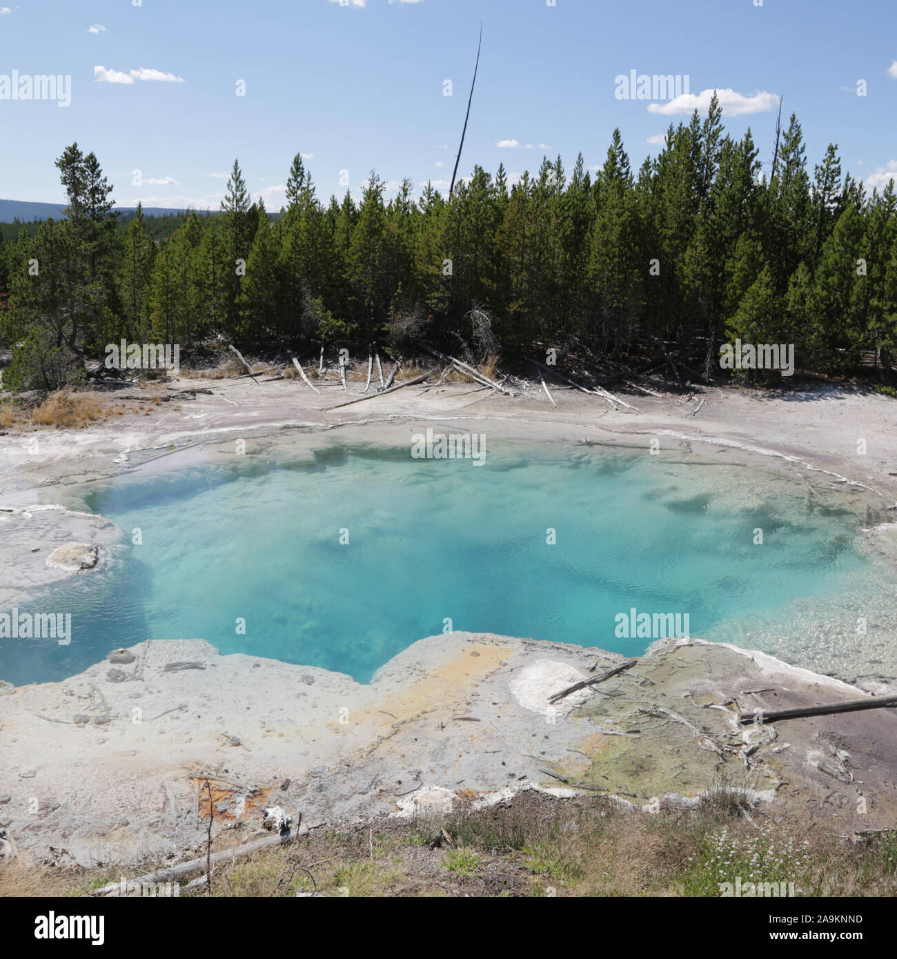 in USA inside the yellowstone national park the brauty of amazing ...