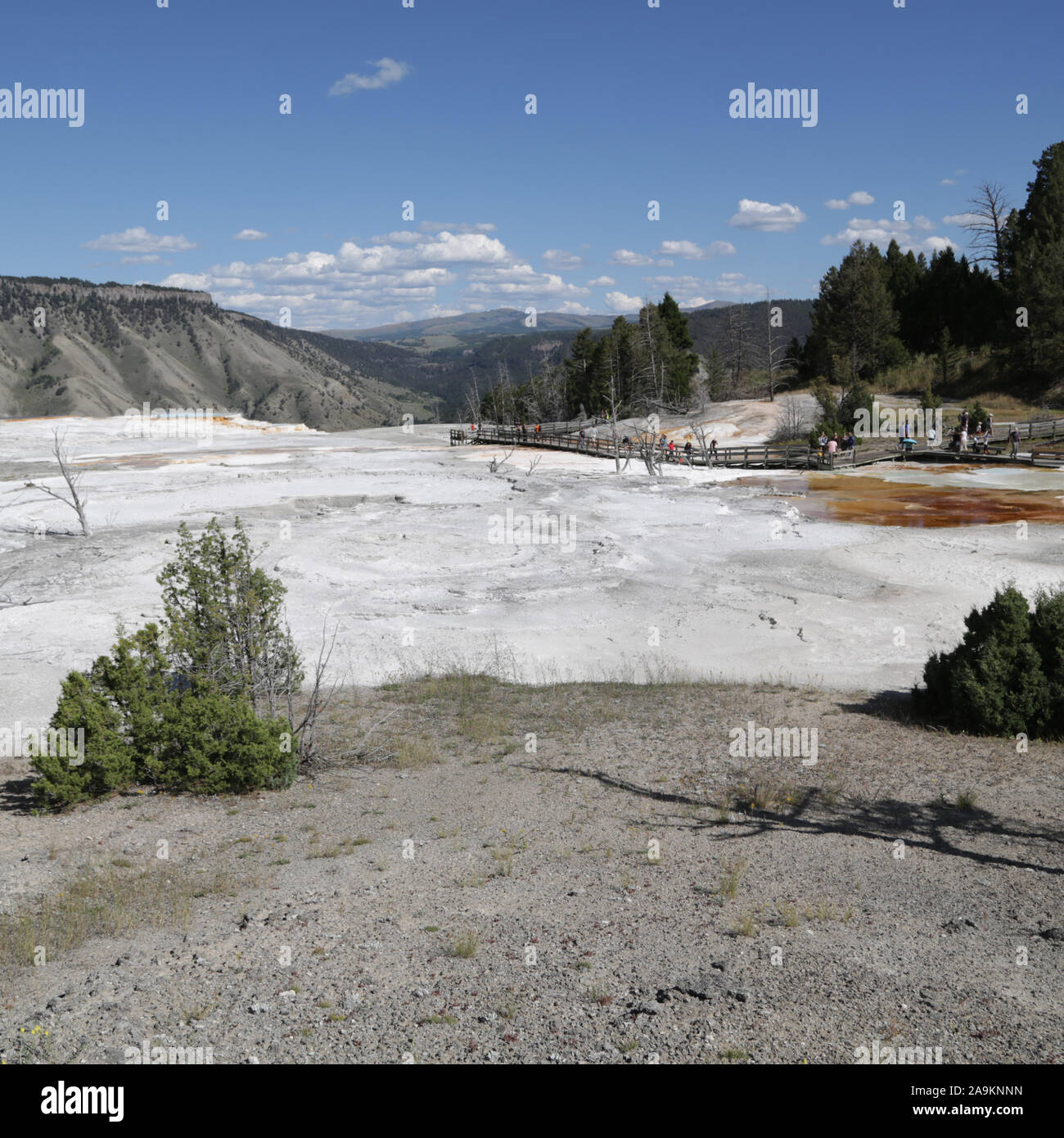 in USA inside the yellowstone national park the brauty of amazing ...