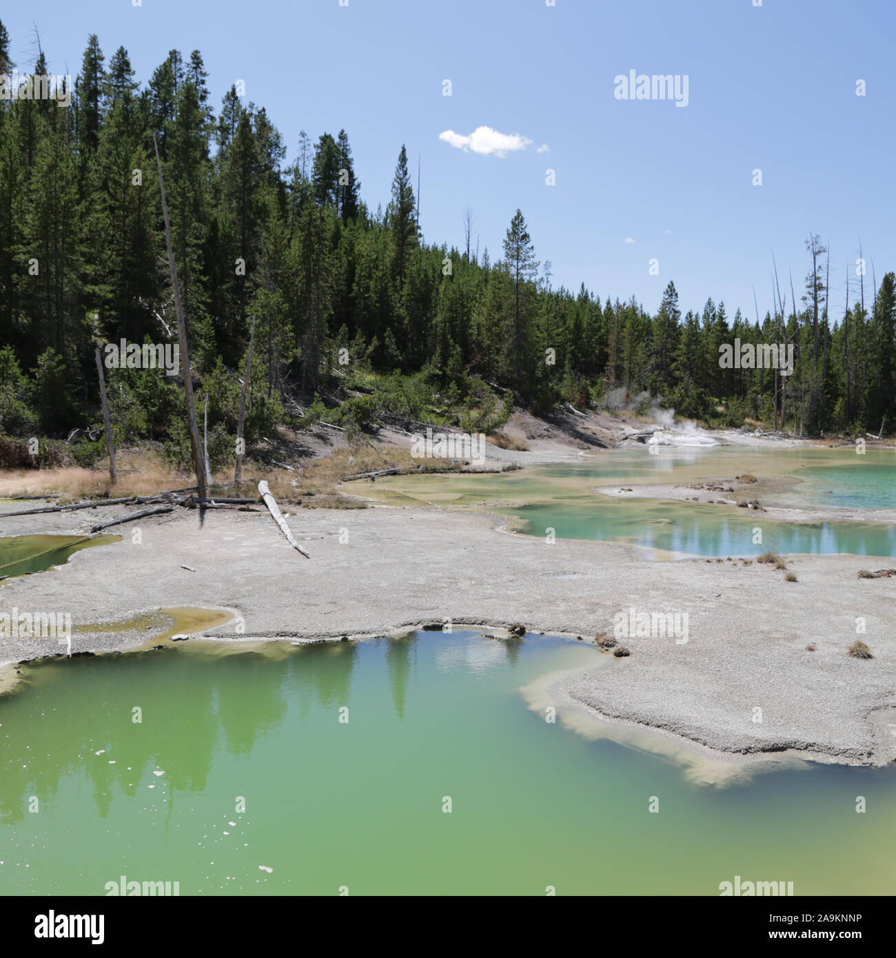 in USA inside the yellowstone national park the brauty of amazing ...