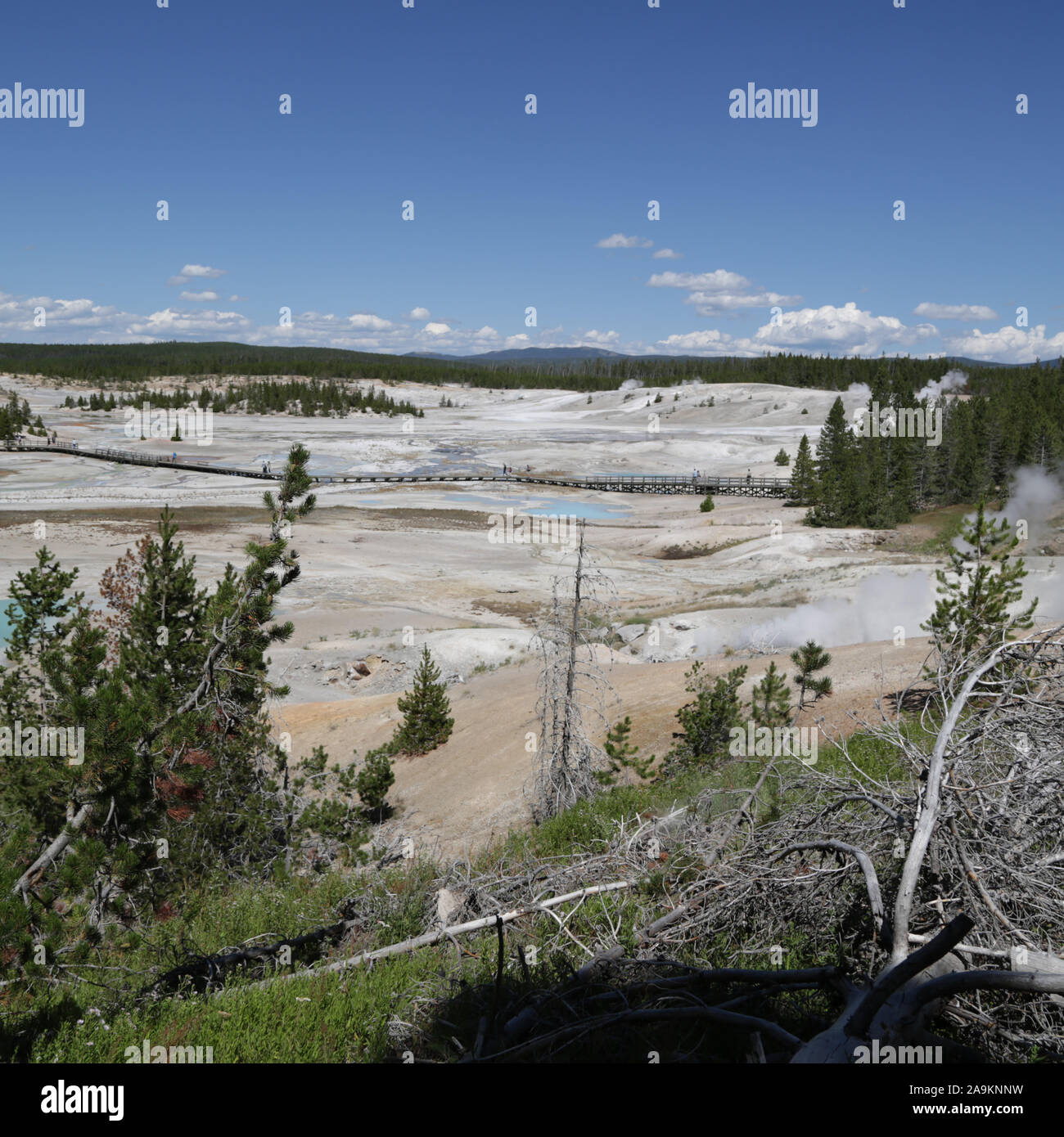 in USA inside the yellowstone national park the brauty of amazing ...