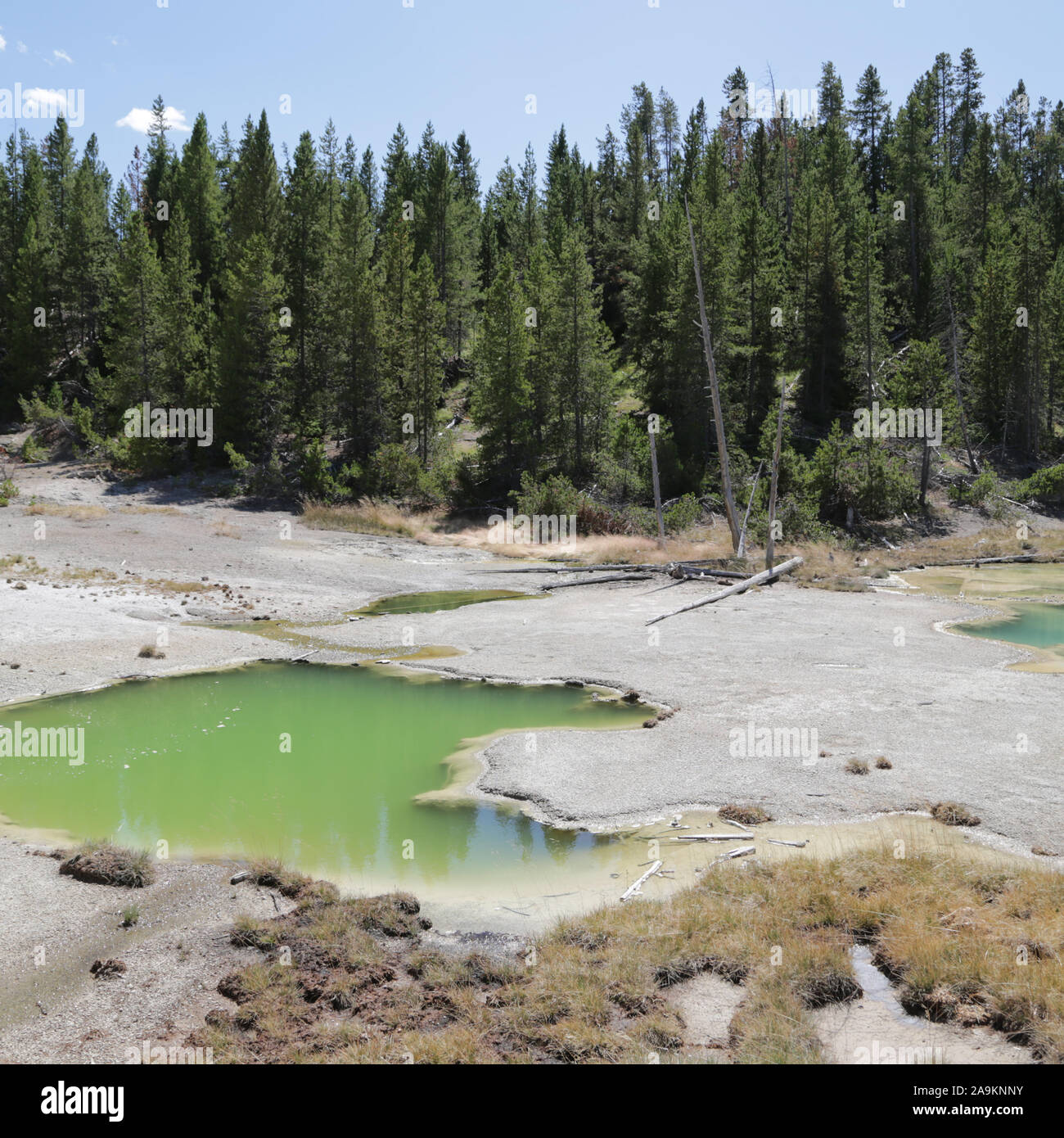 in USA inside the yellowstone national park the brauty of amazing ...