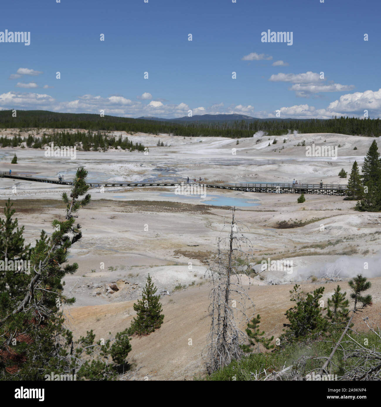 in USA inside the yellowstone national park the brauty of amazing ...