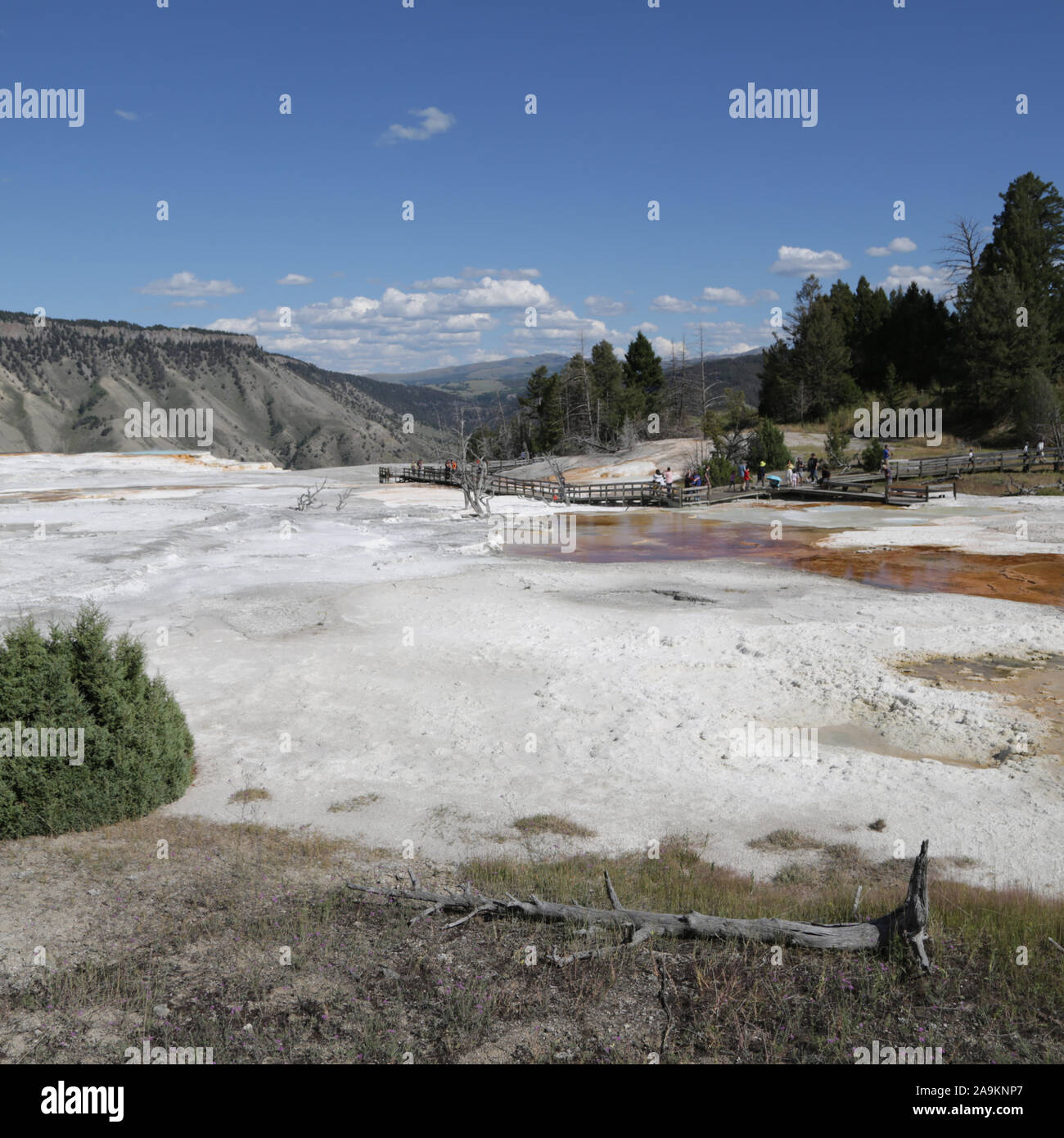 in USA inside the yellowstone national park the brauty of amazing ...