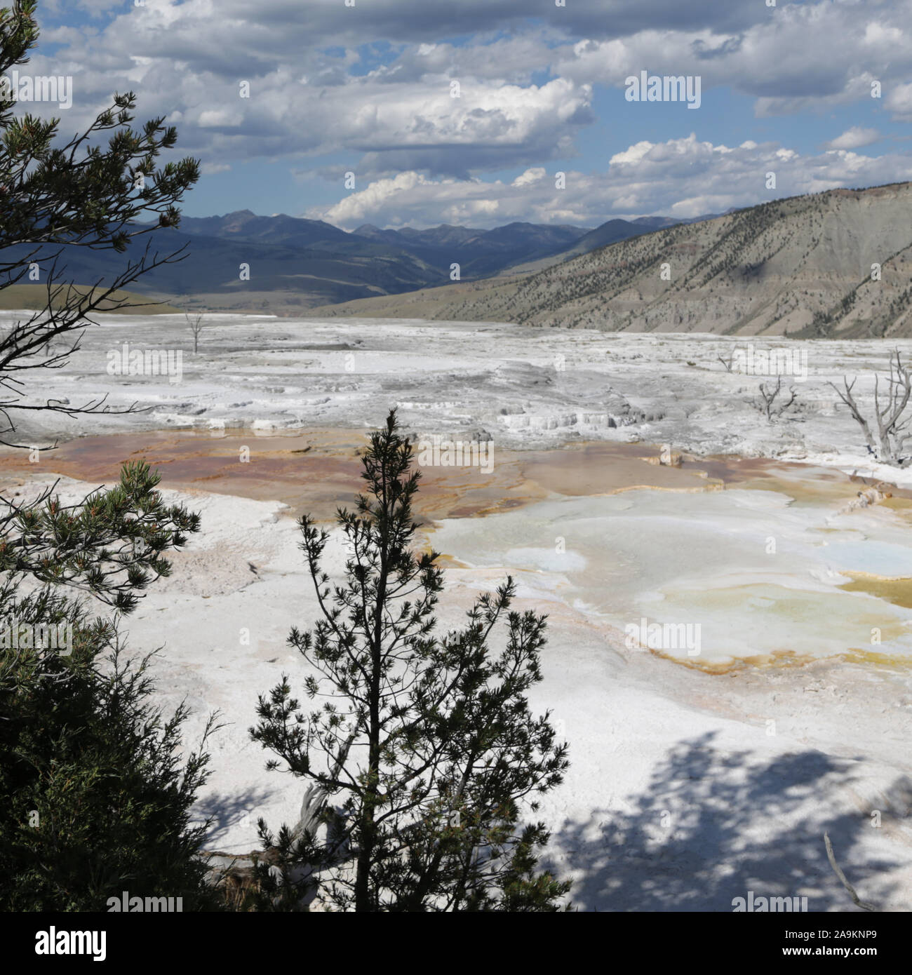 in USA inside the yellowstone national park the brauty of amazing ...