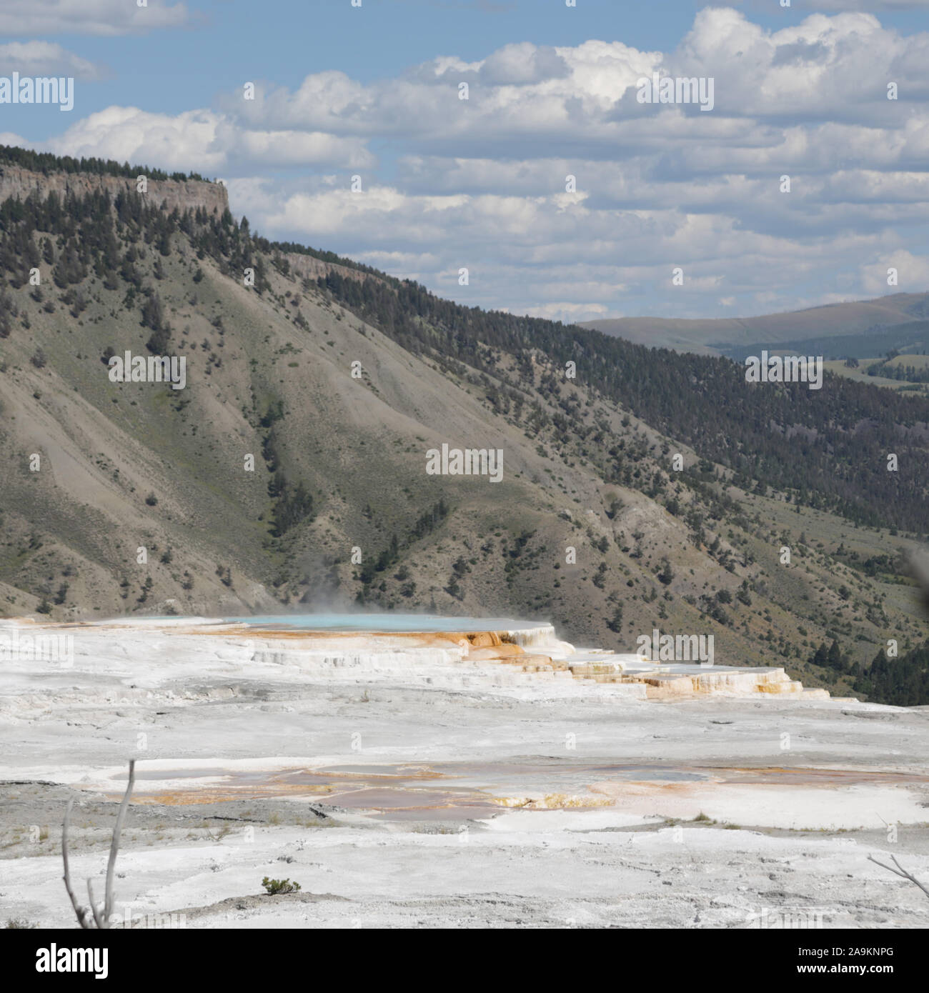 in USA inside the yellowstone national park the brauty of amazing ...