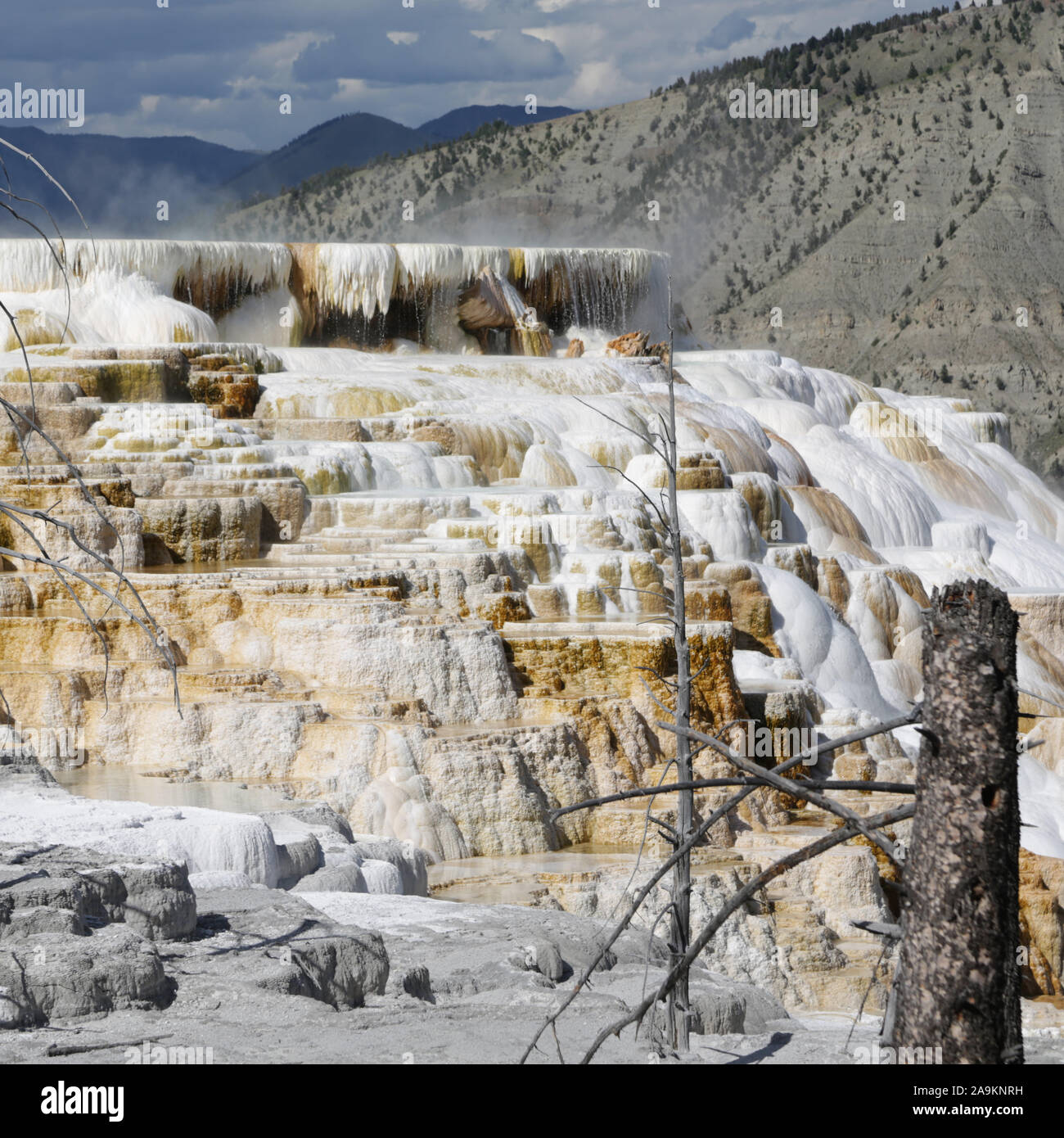 in USA inside the yellowstone national park the brauty of amazing ...