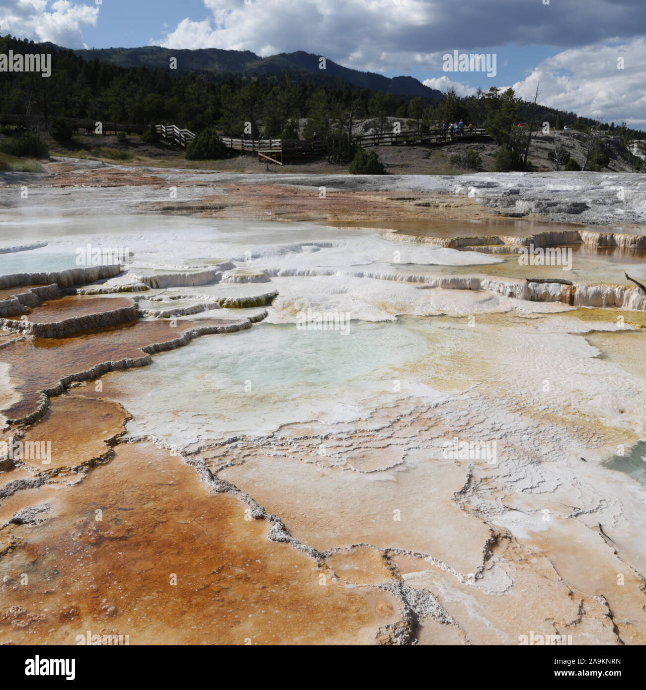 in USA inside the yellowstone national park the brauty of amazing ...