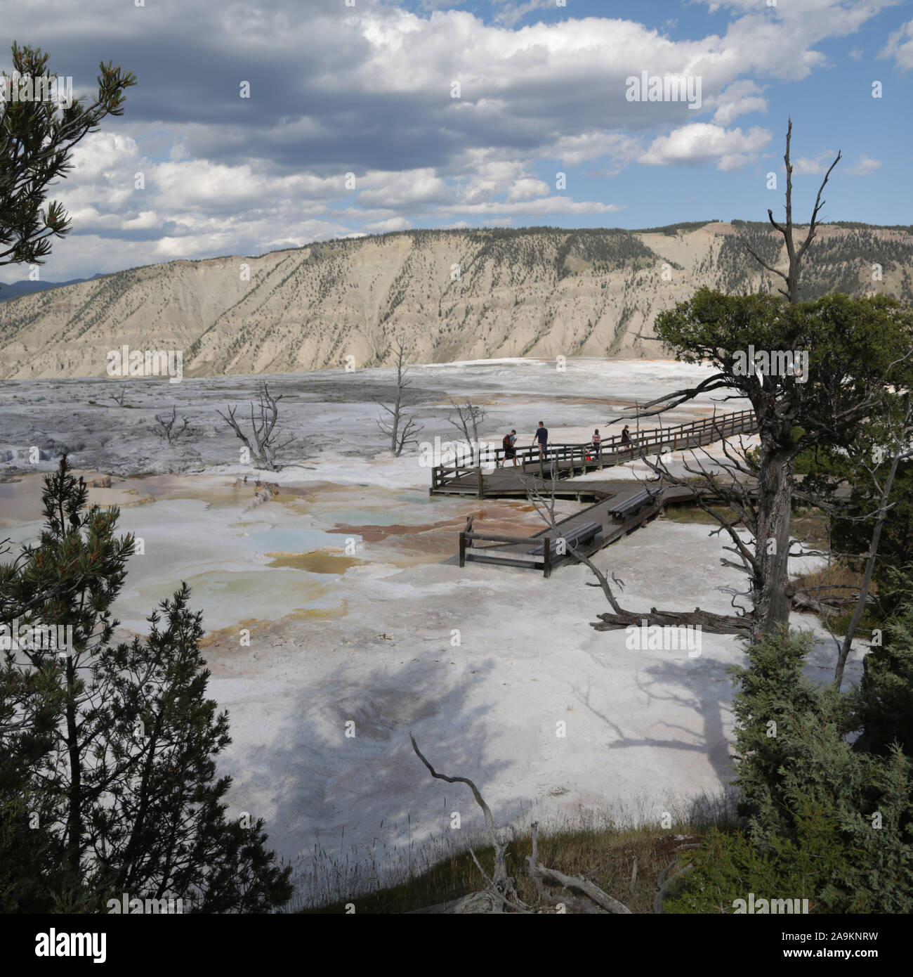 in USA inside the yellowstone national park the brauty of amazing ...