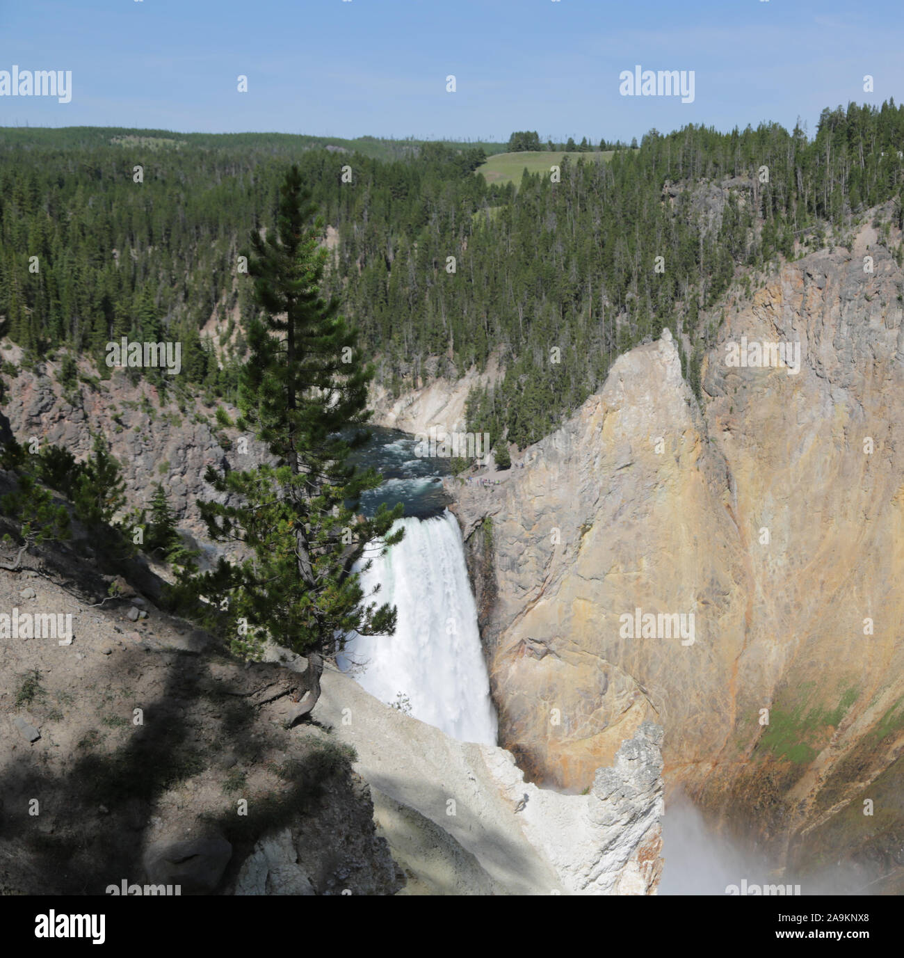 in USA inside the yellowstone national park the brauty of amazing ...