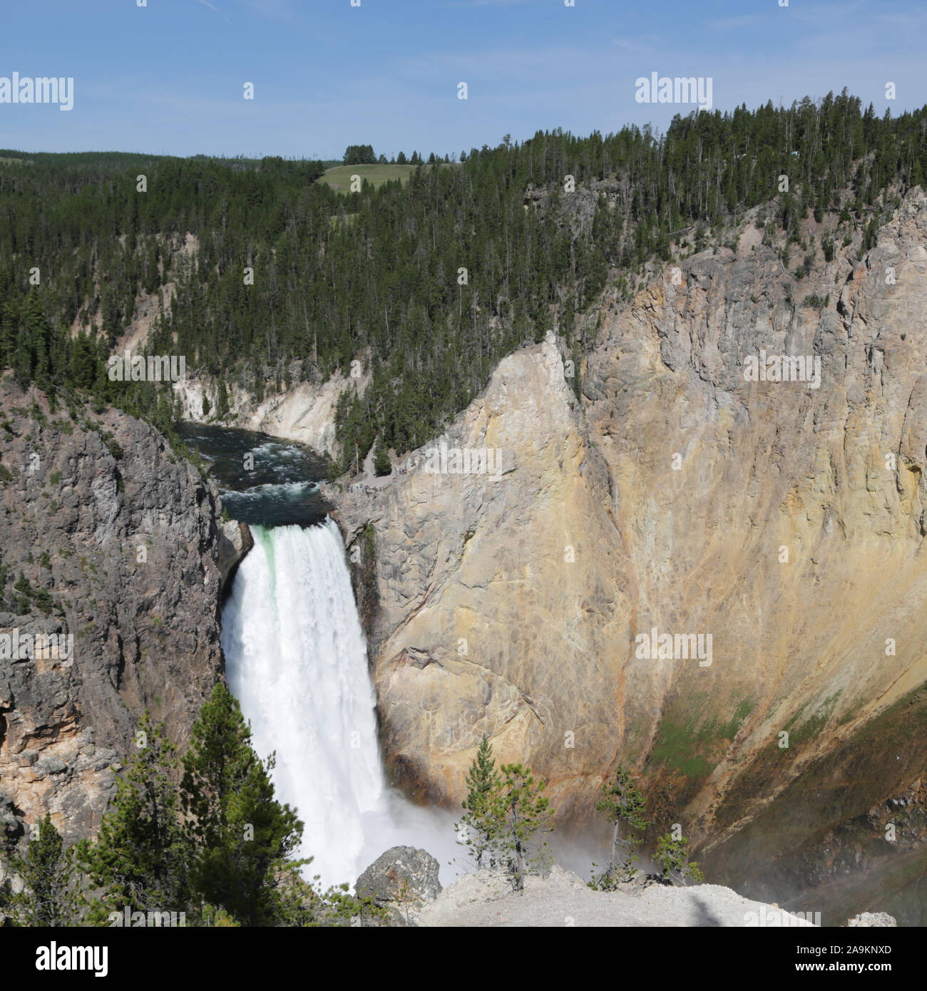 in USA inside the yellowstone national park the brauty of amazing ...