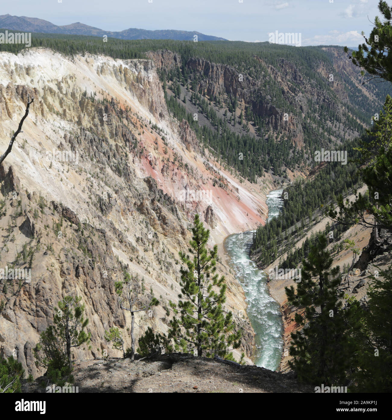 in USA inside the yellowstone national park the brauty of amazing ...
