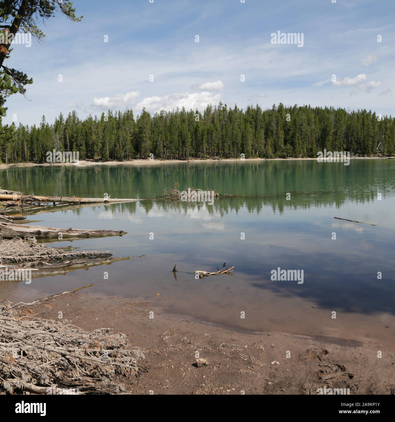 in USA inside the yellowstone national park the brauty of amazing ...